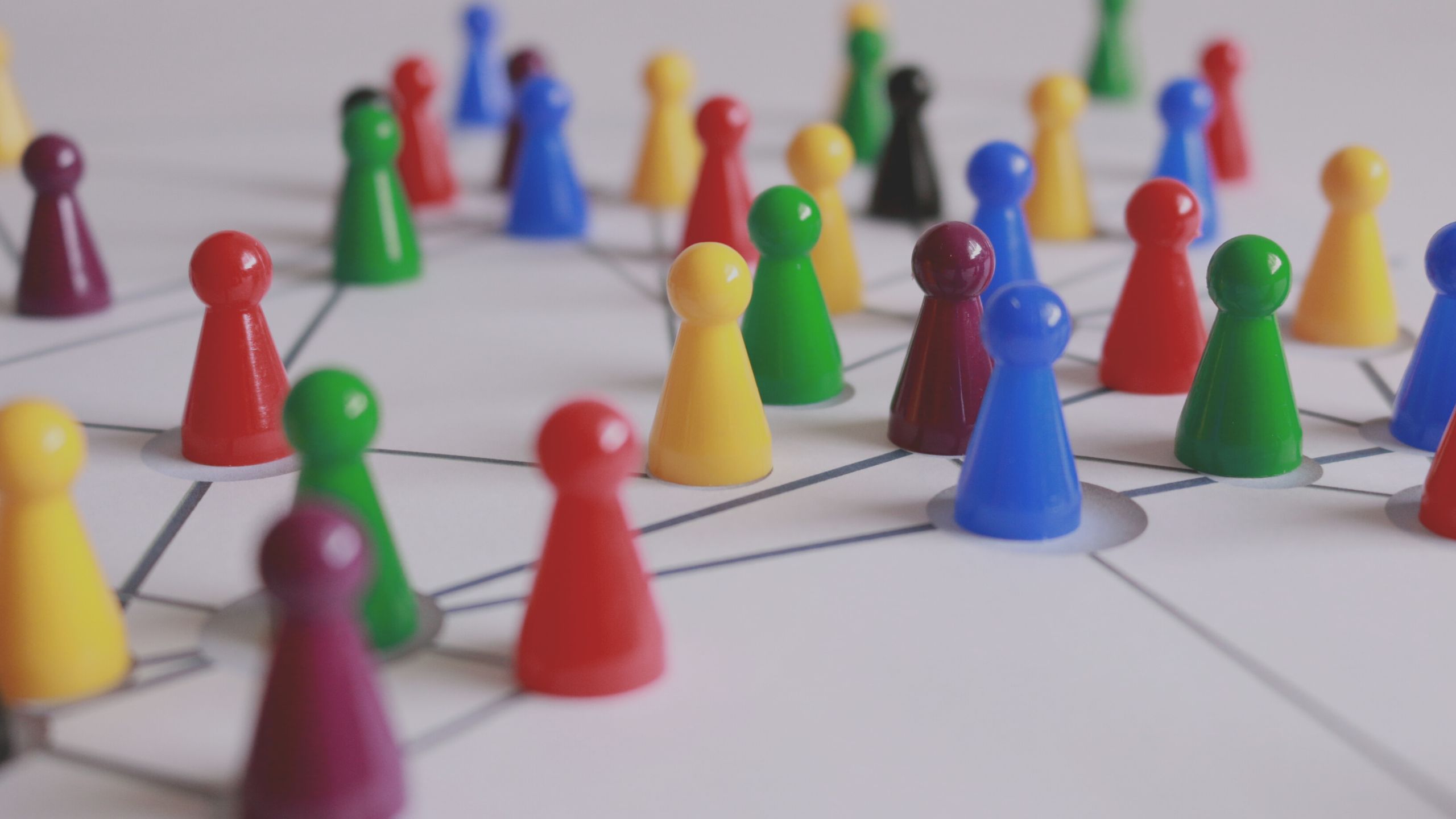 Enterprise Leadership in a Networked World